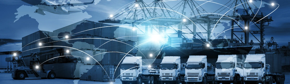 SAP S4 Hana Simple Logistics Course - Best SAP Training
